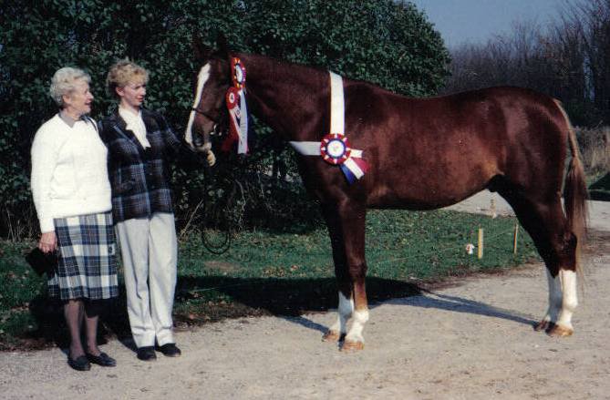10 Landgraf | Canadian Sport Horse Association