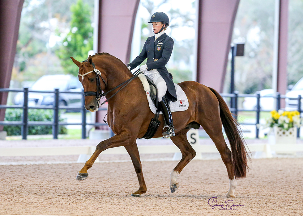 Stallion Listings A-L | Canadian Sport Horse Association